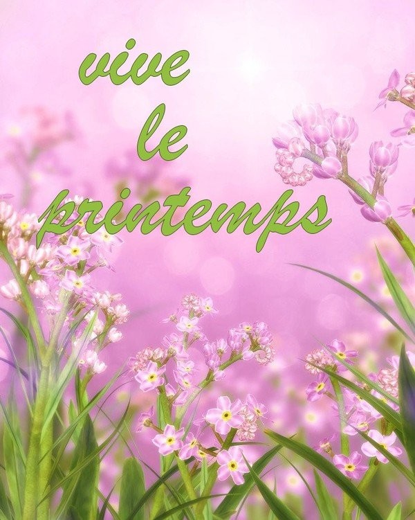 C'EST LE PRINTEMPS