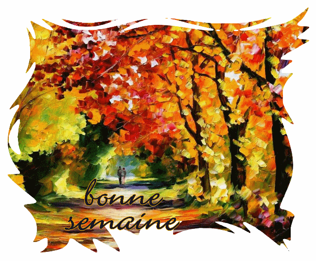 saison automne - Page 40