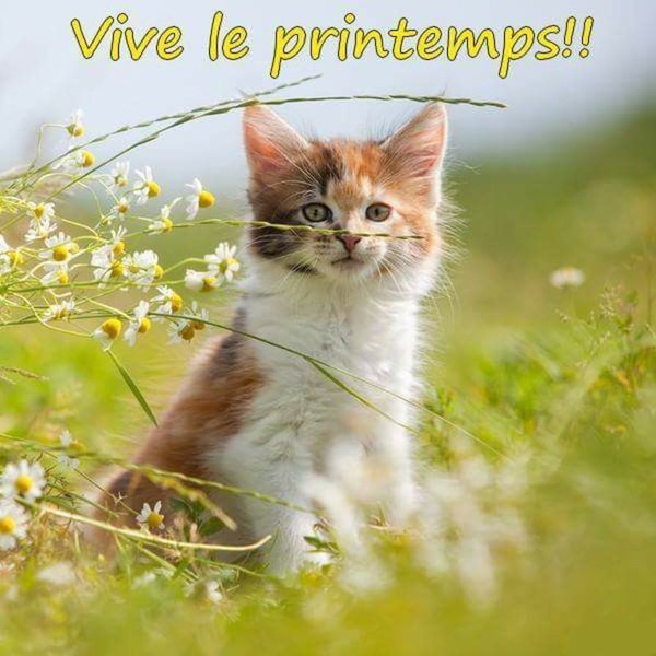C'EST LE PRINTEMPS