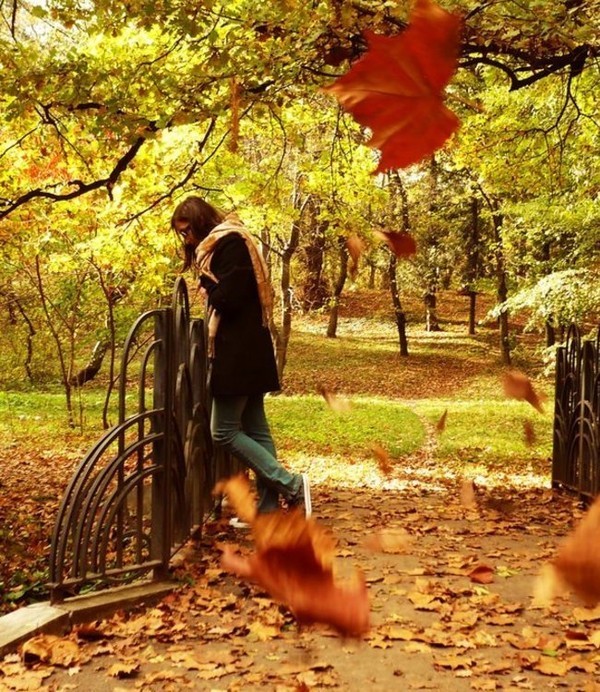 LES FEUILLES TOMBENT ... L'AUTOMNE ARRIVE